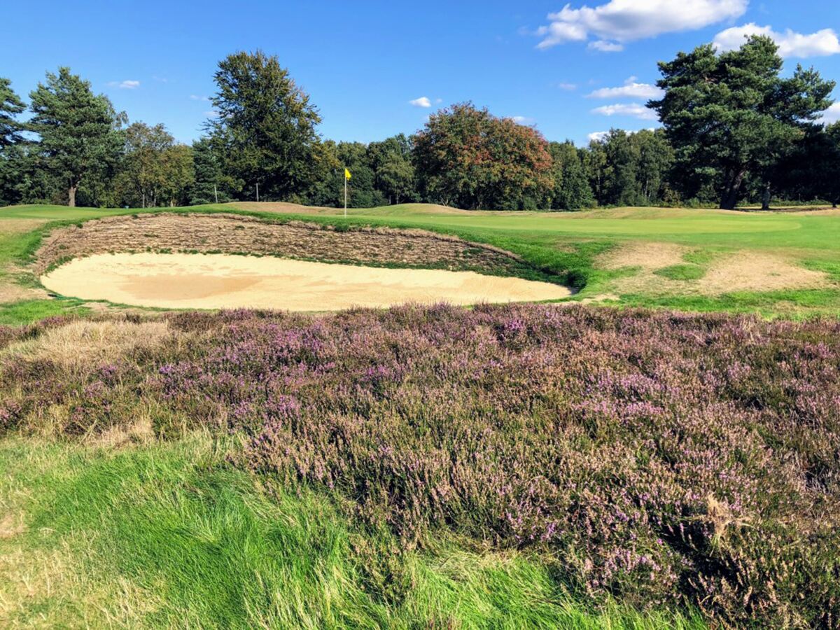 Top 8 Historic Ryder Cup Courses in Great Britain